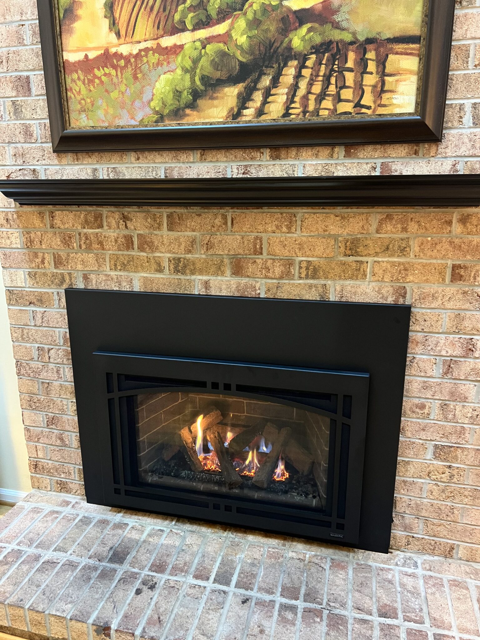 Gas Inserts Gallery - Chimney.com