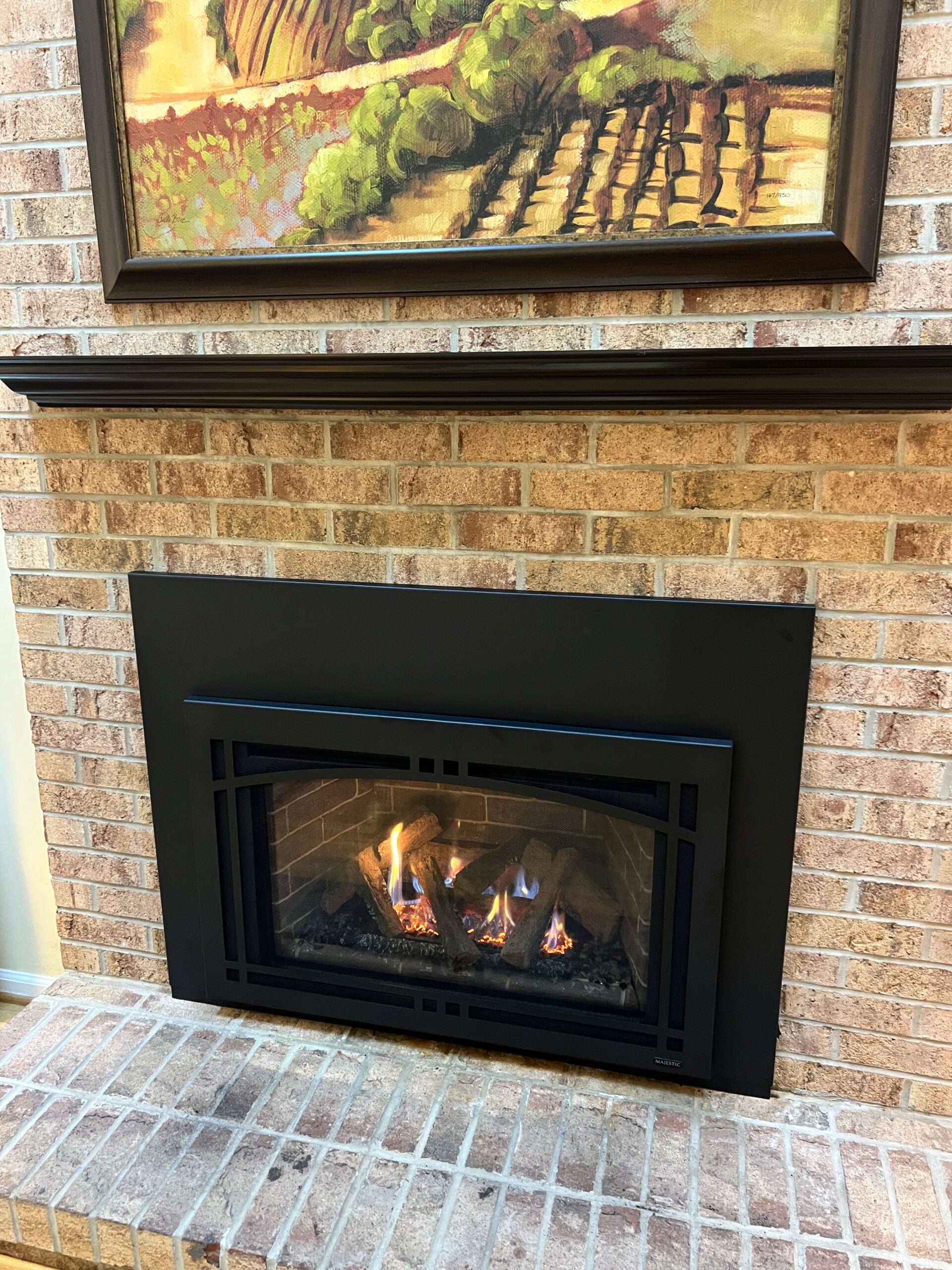 Gas Inserts Gallery - Chimney.com