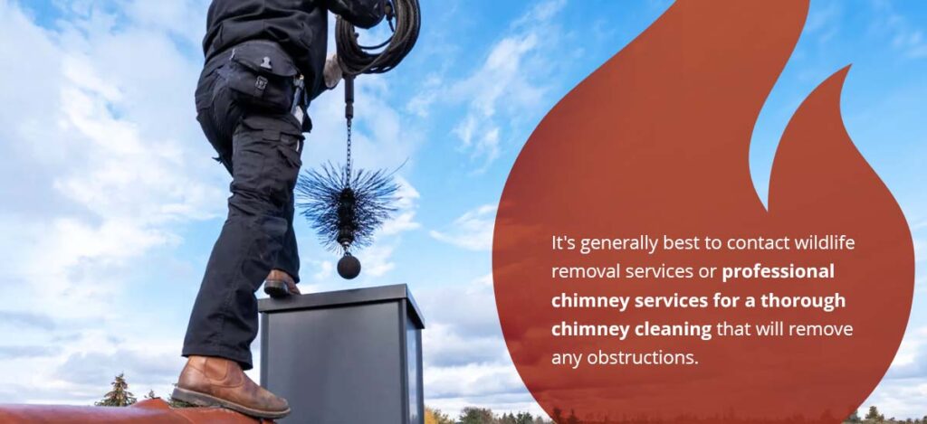 Common Chimney Problems and Solutions | Chimney Experts